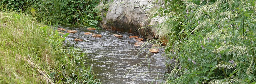 Gemeinde Münchweiler an der Rodalb